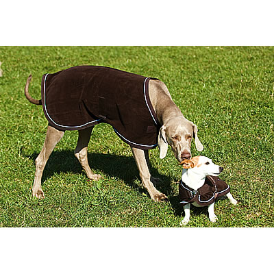 dog_sheet – Hipismo&Co