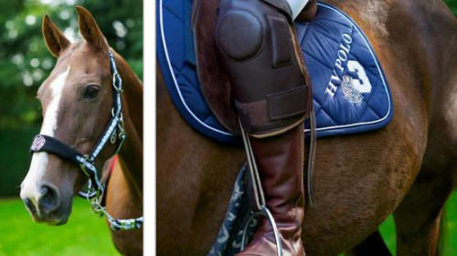 HV Polo marca holandesa de roupas equestres – Hipismo&Co